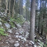 Nambe Lake Trail, New Mexico - 3,133 Reviews, Map | AllTrails
