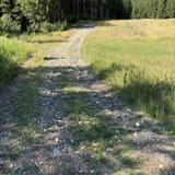 Mount Haig Lake Trail, Alberta, Canada - 403 Reviews, Map | AllTrails