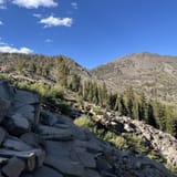 Tamarack Peak Loop, Nevada - 1,092 Reviews, Map | AllTrails