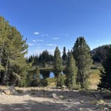 Tamarack Peak Loop, Nevada - 1,138 Reviews, Map | AllTrails