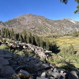 Tamarack Peak Loop, Nevada - 1,138 Reviews, Map | AllTrails