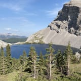 Carnarvon Lake, Alberta, Canada - 780 Reviews, Map | AllTrails