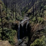 Oneonta Trail, Oregon - 724 Reviews, Map | AllTrails