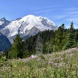 Silver Forest Trail, Washington - 565 Reviews, Map | AllTrails