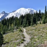 Silver Forest Trail, Washington - 565 Reviews, Map | AllTrails