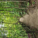 Lost Canyon Trail, Wisconsin - 1,128 Reviews, Map | AllTrails
