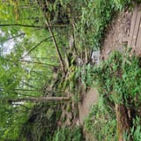 Lost Canyon Trail, Wisconsin - 1,123 Reviews, Map | AllTrails
