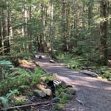 Lindeman Lake Trail, British Columbia, Canada - 2,427 Reviews, Map ...