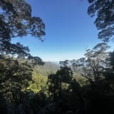 Witches Falls Circuit, Queensland, Australia - 713 Reviews, Map | AllTrails