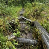 Irely Lake Trail, Washington - 125 Reviews, Map | AllTrails