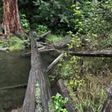 Irely Lake Trail, Washington - 125 Reviews, Map | AllTrails