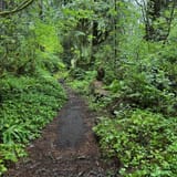 Irely Lake Trail, Washington - 125 Reviews, Map | AllTrails