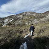 Illawong Walk, New South Wales, Australia - 330 Reviews, Map | AllTrails