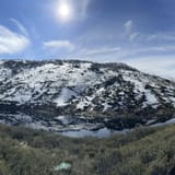 Illawong Walk, New South Wales, Australia - 330 Reviews, Map | AllTrails