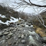 Illawong Walk, New South Wales, Australia - 330 Reviews, Map | AllTrails