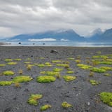 Tonsina Creek Trail, Alaska - 1,717 Reviews, Map | AllTrails