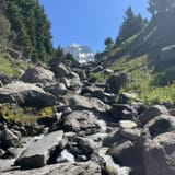 McNeil Point Trail, Oregon - 3,327 Reviews, Map | AllTrails