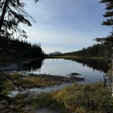 Zealand Bonds Traverse, New Hampshire - 780 Reviews, Map | AllTrails