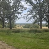 Windsor Great Park Circular, Berkshire, England - 315 Reviews, Map ...