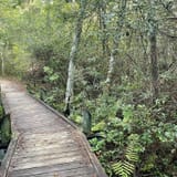 Cedar Point Tideland Trail, North Carolina - 773 Reviews, Map | AllTrails