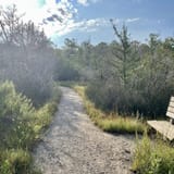 Cedar Point Tideland Trail, North Carolina - 773 Reviews, Map | AllTrails