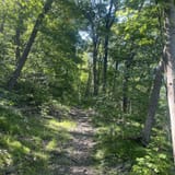 Fishkill Ridge Loop via Overlook and Fishkill Ridge Trail, New York ...