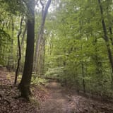 Southern Loop via Western Ridge Trail, Rock Creek, Valley Trail ...