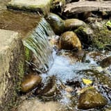 Geyser Loop Trail, New York - 2,495 Reviews, Map | AllTrails