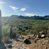 Signal Hill Trail, Arizona - 1,307 Reviews, Map | AllTrails