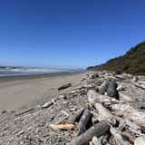 Kalaloch 2nd Beach Trail, Washington - 59 Reviews, Map | AllTrails