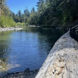 Staircase Rapids Loop, Washington - 3,077 Reviews, Map | AllTrails