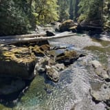 Staircase Rapids Loop, Washington - 3,077 Reviews, Map | AllTrails