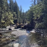 Staircase Rapids Loop, Washington - 3,077 Reviews, Map | AllTrails