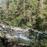 Staircase Rapids Loop, Washington - 3,077 Reviews, Map | AllTrails