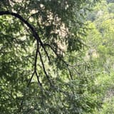 Bill's Trail to Mount Barnabe Peak Loop, California - 595 Reviews, Map ...