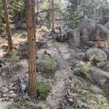 Twin Owls via Lumpy Ridge Loop, Colorado - 1,528 Reviews, Map | AllTrails