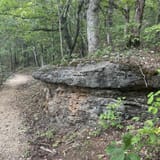Alley Spring Overlook Trail, Missouri - 341 Reviews, Map | AllTrails
