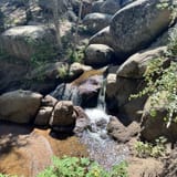 Turtle Rock Loop Trail, Wyoming - 1,497 Reviews, Map | AllTrails