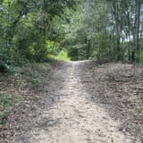 Cypress Creek Trail, Texas - 731 Reviews, Map | AllTrails