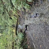 Seahurst Park Loop Trail, Washington - 897 Reviews, Map | AllTrails