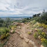 Fatmans Loop Trail, Arizona - 5,937 Reviews, Map | AllTrails