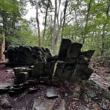 Limberlost Trail, Virginia - 976 Reviews, Map | AllTrails