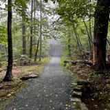 Limberlost Trail, Virginia - 978 Reviews, Map | AllTrails