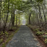 Limberlost Trail, Virginia - 976 Reviews, Map | AllTrails