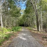 Stepstone Falls via Ben Utter Trail, Rhode Island - 1,650 Reviews, Map ...