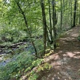 Stepstone Falls via Ben Utter Trail, Rhode Island - 1,650 Reviews, Map ...