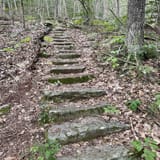Stepstone Falls via Ben Utter Trail, Rhode Island - 1,650 Reviews, Map ...