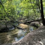 Luton Park Trail, Michigan - 1,123 Reviews, Map | AllTrails
