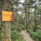 Killington Peak via Bucklin Trail, Vermont - 2,072 Reviews, Map | AllTrails