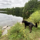 Gates Pond, Massachusetts - 1,209 Reviews, Map | AllTrails